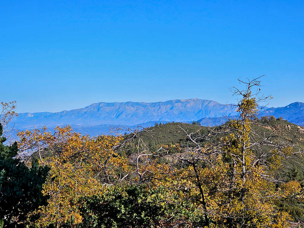 Mount San Gorgonio : Photos, Diagrams & Topos : SummitPost