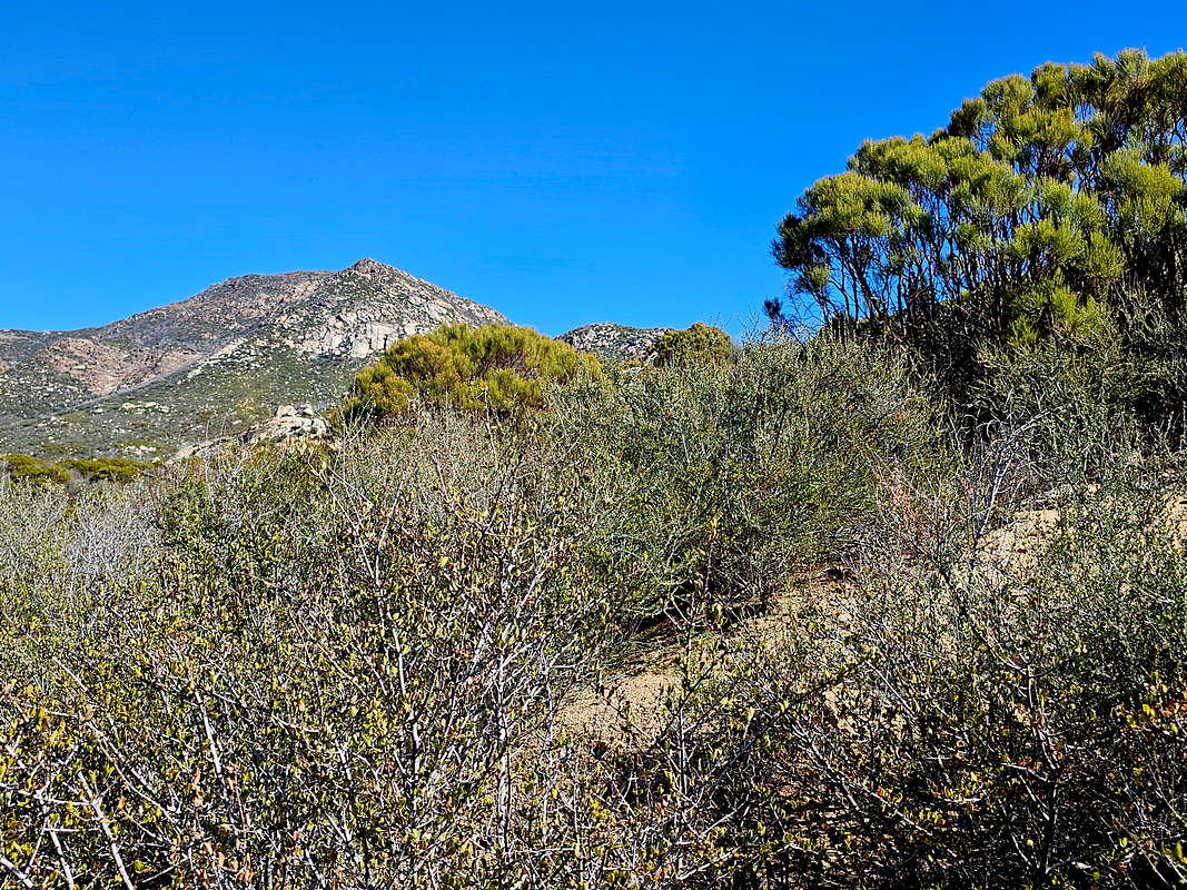 Spitler Peak : Photos, Diagrams & Topos : SummitPost