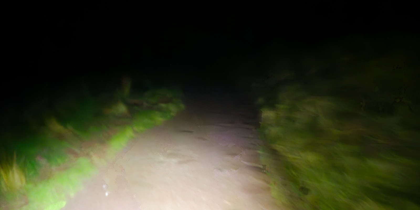 First steps on the Pen Y Fan trail : Photos, Diagrams & Topos : SummitPost