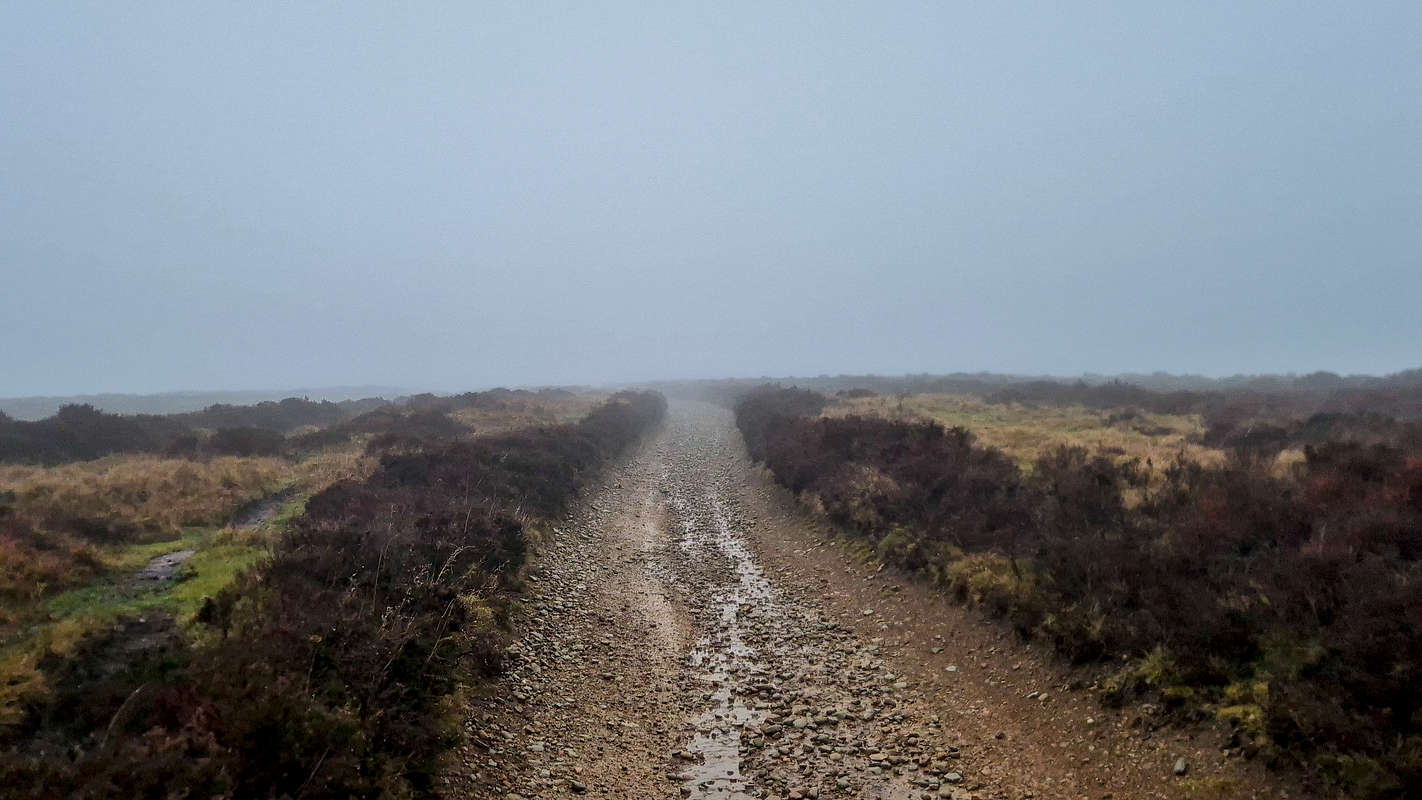 Veritable FSR type trail on the Mynydd Twyn-glas (472m) summit plateau ...