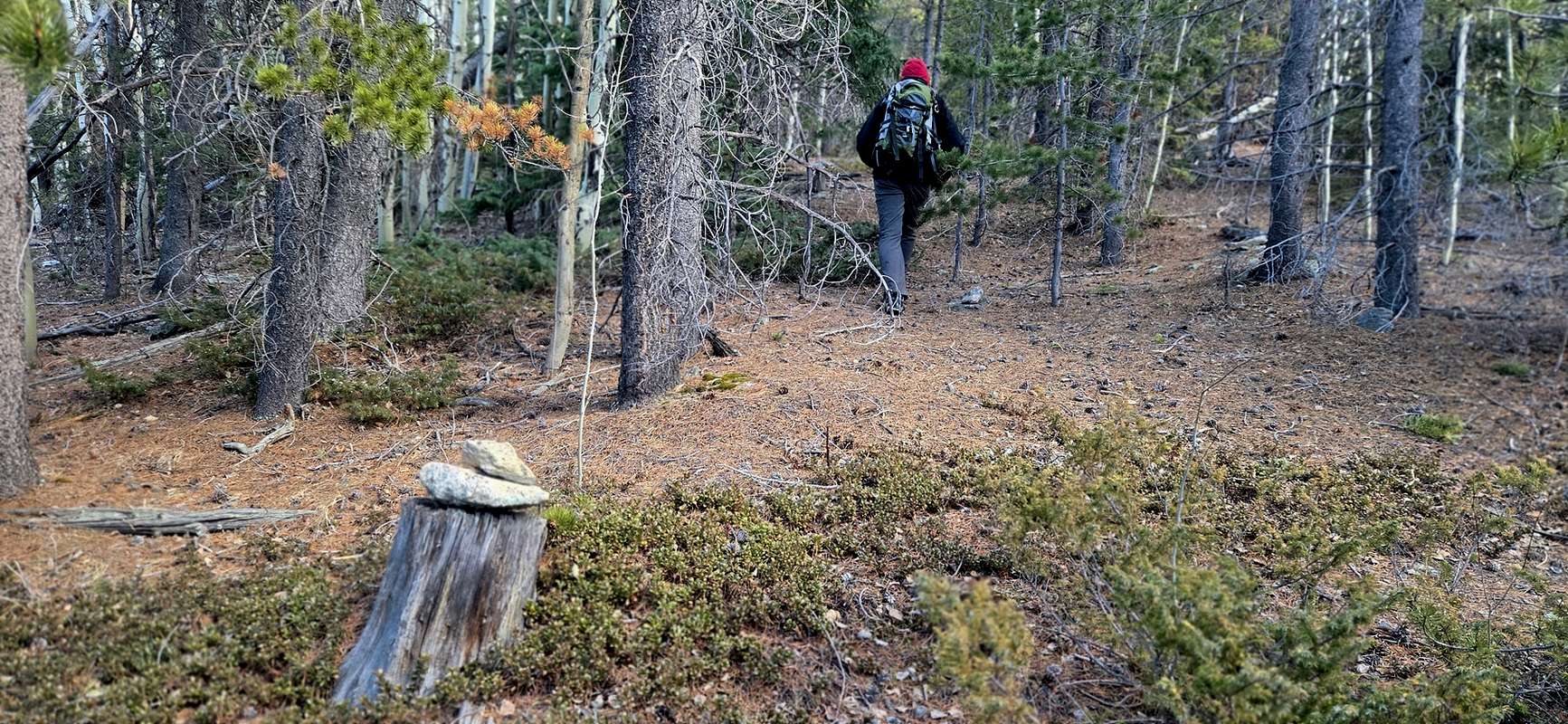 Beggining of hike : Photos, Diagrams & Topos : SummitPost