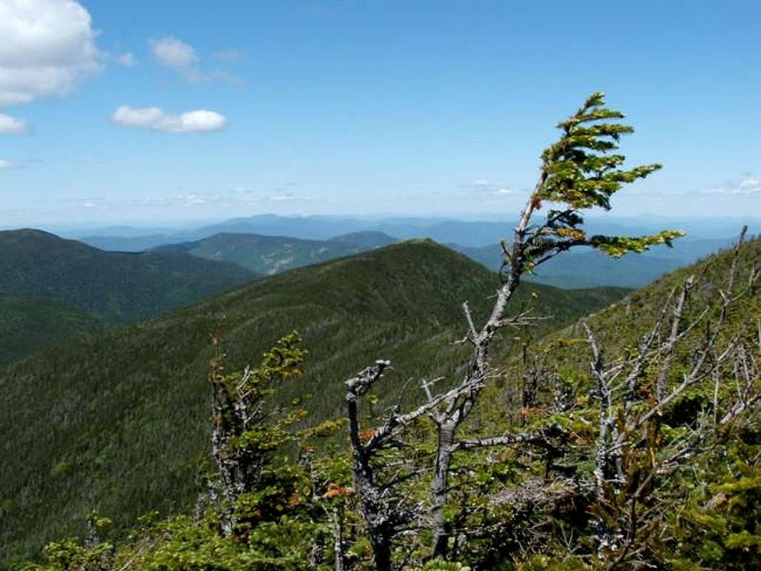Mount Hight : Climbing, Hiking & Mountaineering : SummitPost