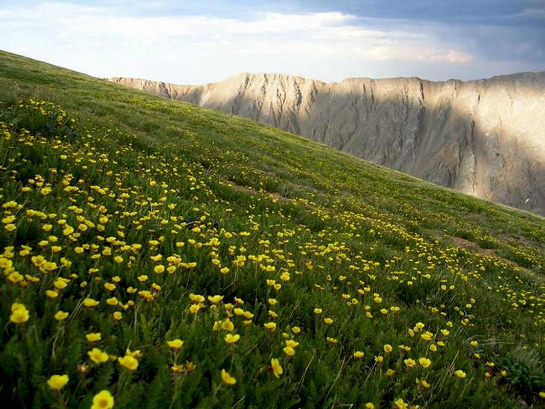 Kelso Mountain : Climbing, Hiking & Mountaineering : SummitPost