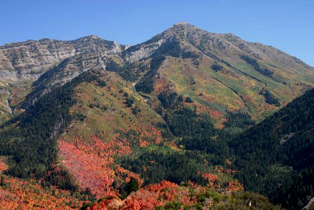 Closer view of Provo Peak... : Photos, Diagrams & Topos : SummitPost