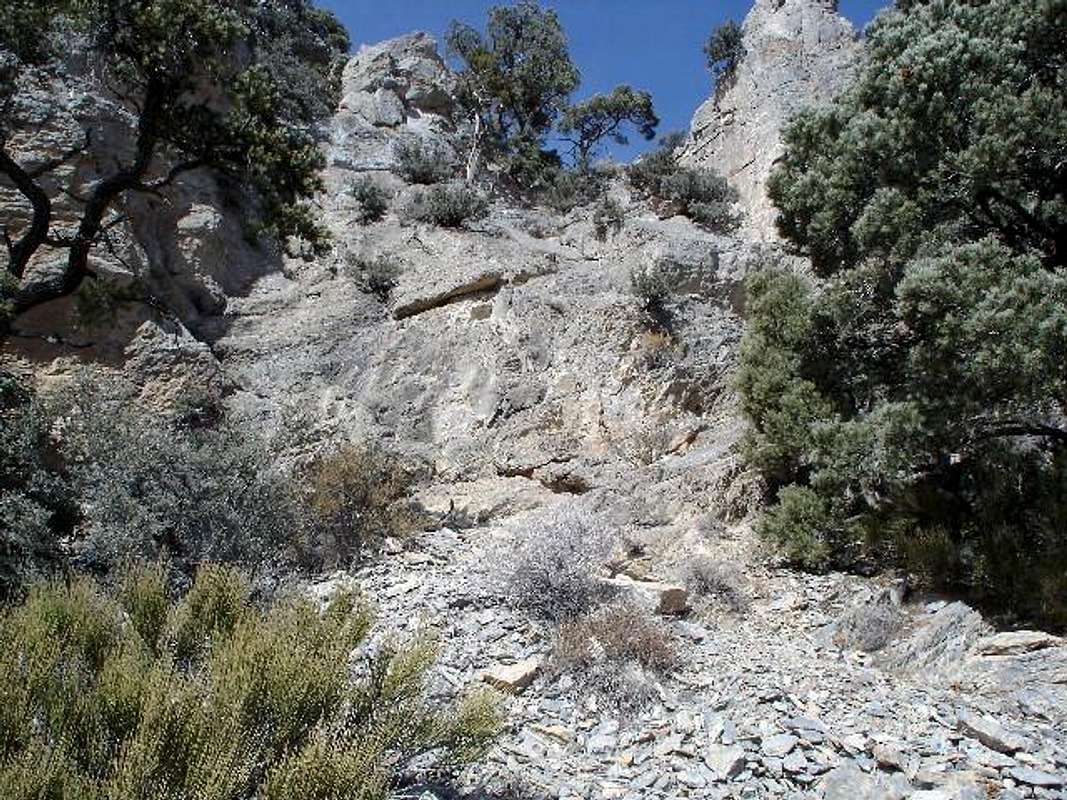 This is the Class 3 climbing... : Photos, Diagrams & Topos : SummitPost