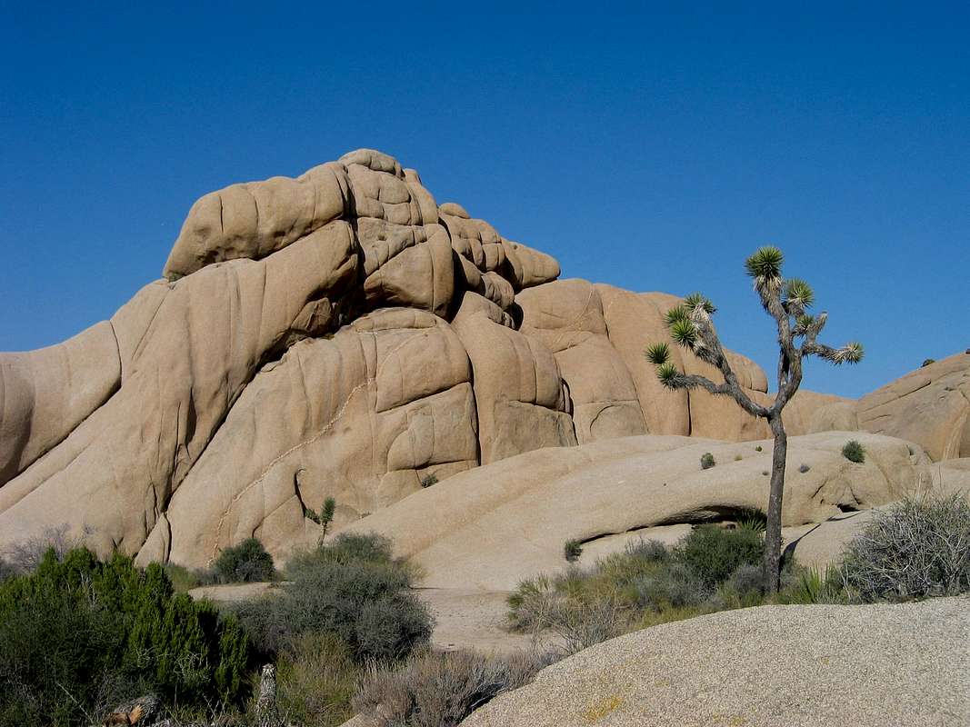 Jumbo Rock, Joshua Tree NP : Photos, Diagrams & Topos : SummitPost