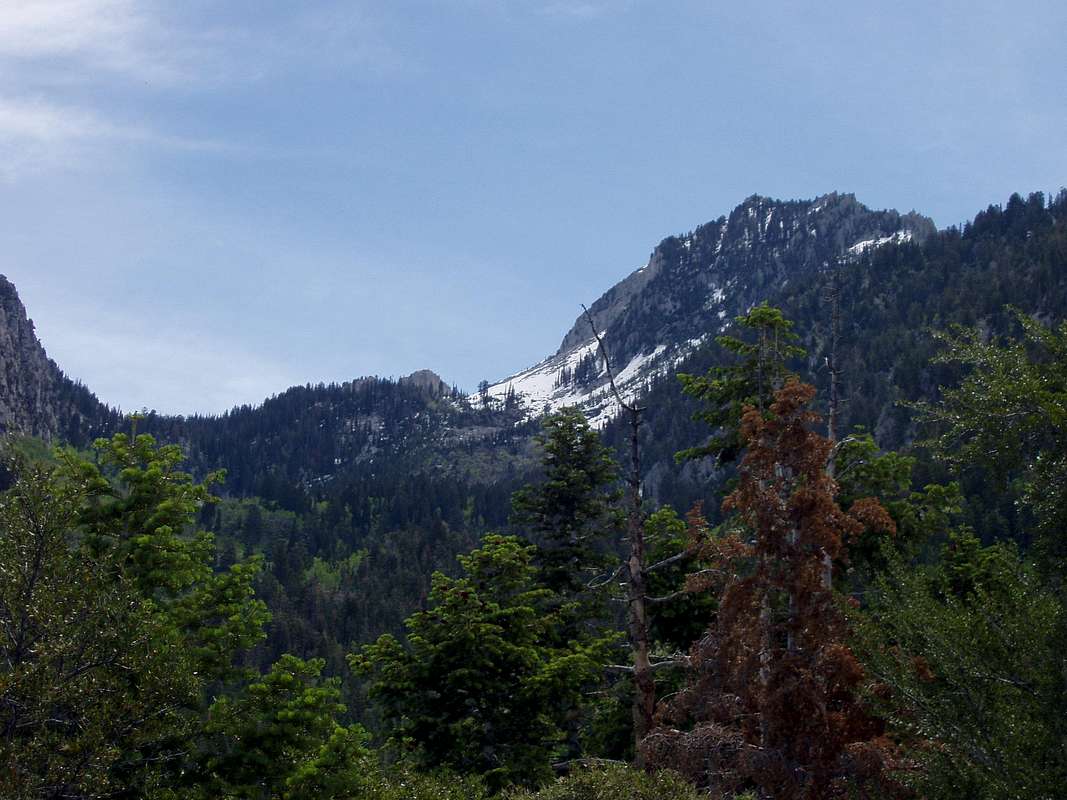 Big Willow Cirque : Photos, Diagrams & Topos : SummitPost