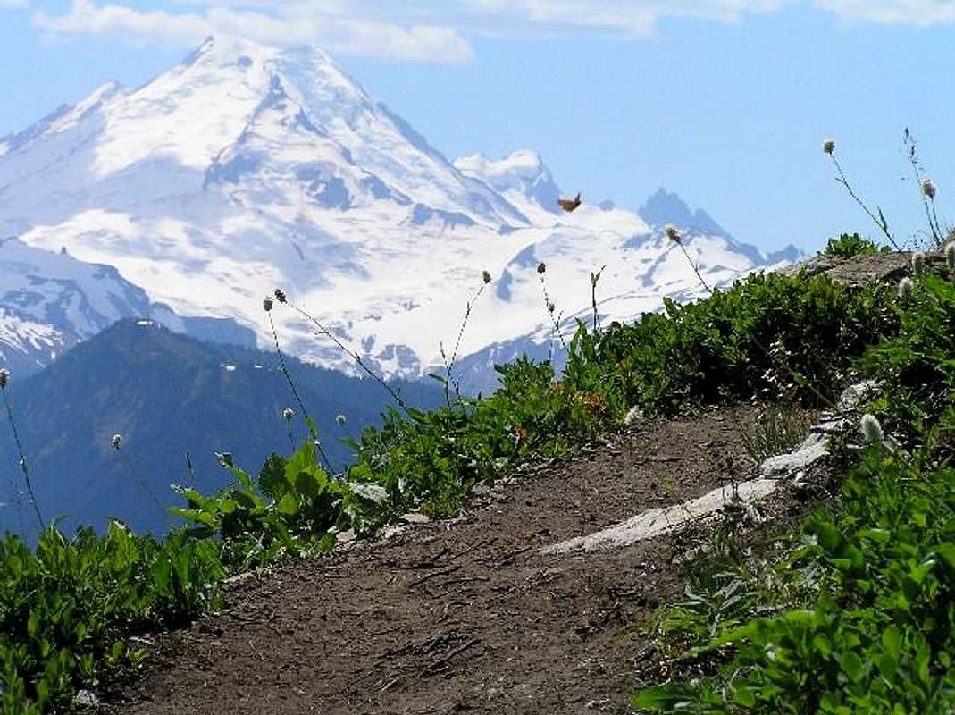 Mount Baker View : Photos, Diagrams & Topos : SummitPost