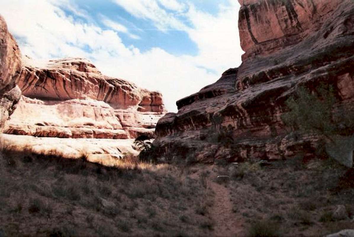 Trail into Grand Gulch : Photos, Diagrams & Topos : SummitPost