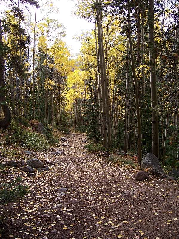 Fall colours on Hermans Gulch trail : Photos, Diagrams & Topos : SummitPost