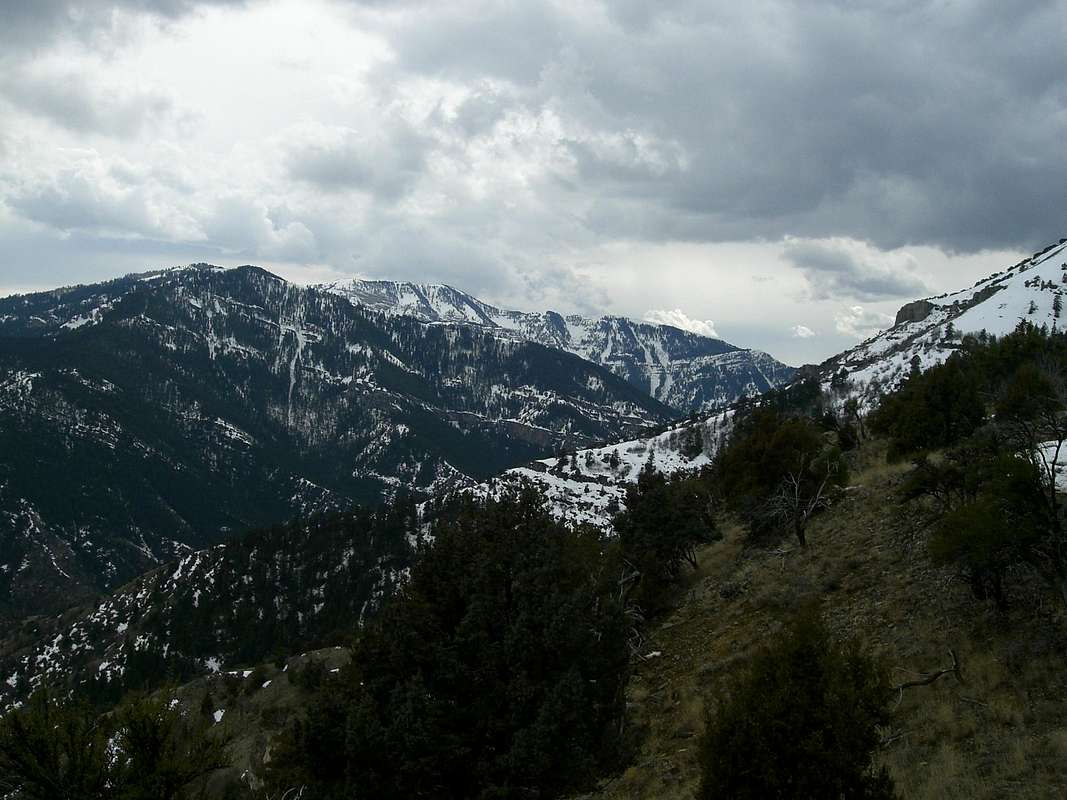 Mount Logan : Photos, Diagrams & Topos : SummitPost