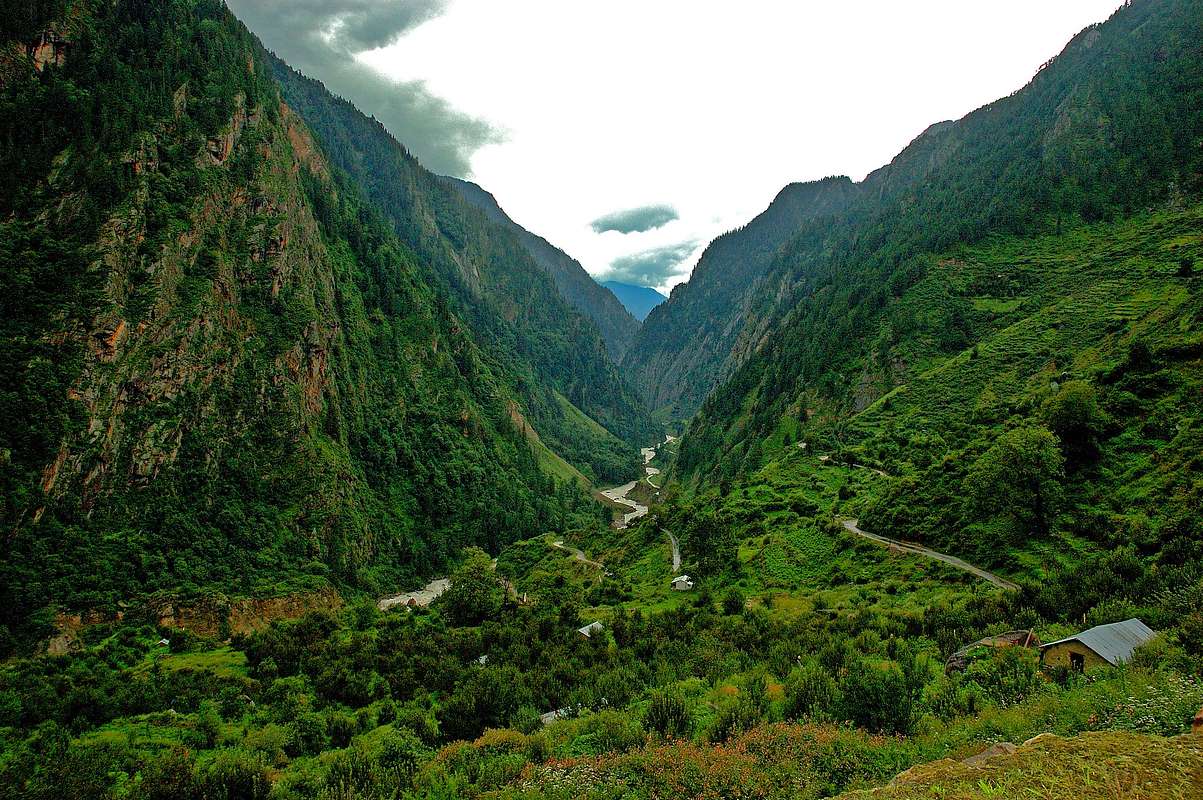 Himalaya Forests : Photos, Diagrams & Topos : SummitPost