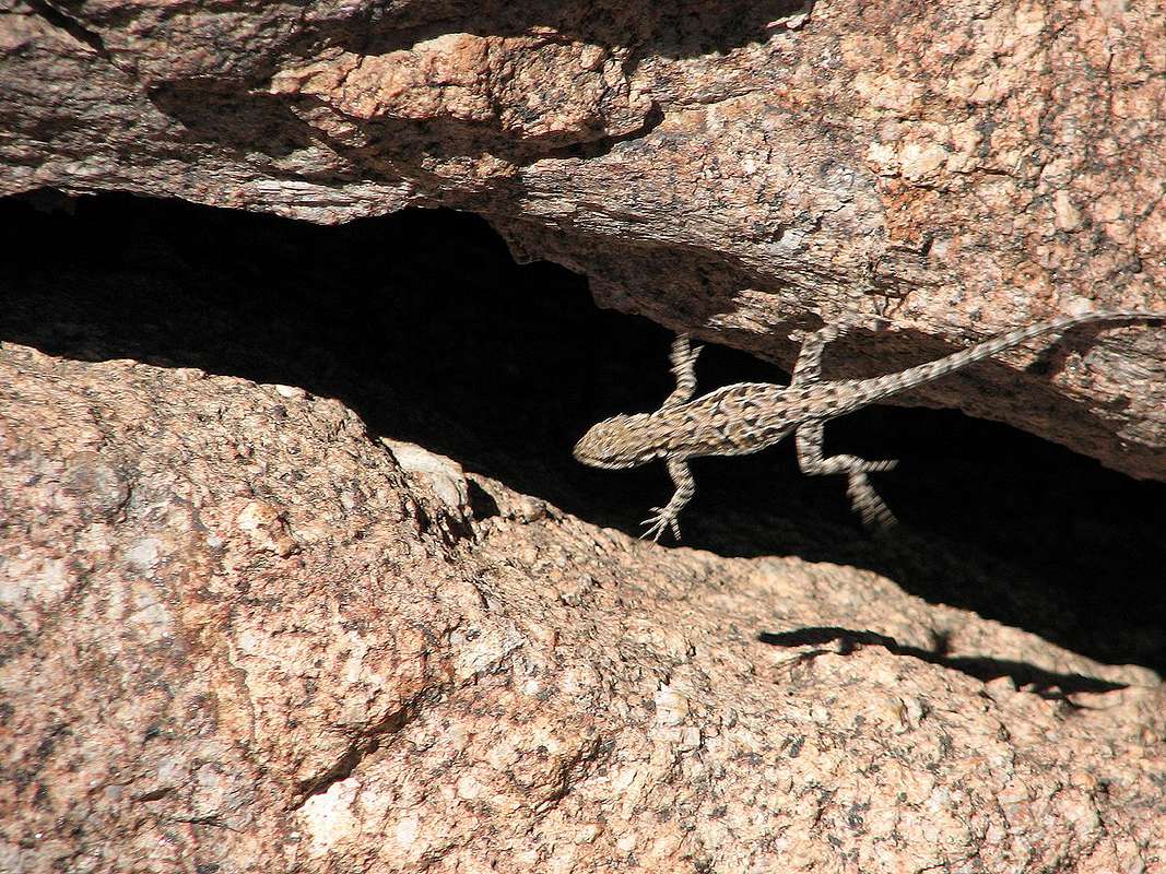 Rock Hopping : Photos, Diagrams & Topos : SummitPost