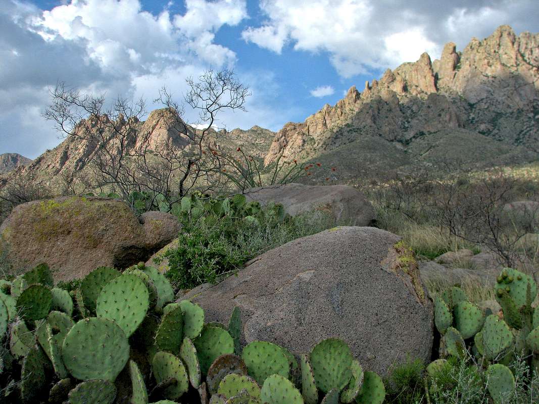 Organ Mountains : Photos, Diagrams & Topos : SummitPost