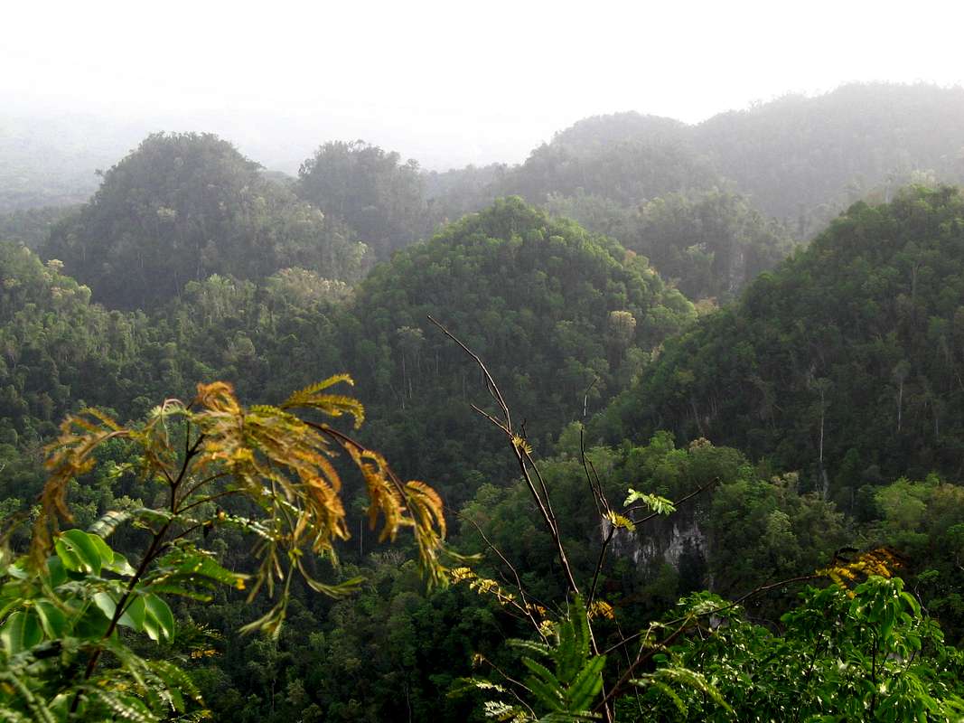 Maya Mountains : Photos, Diagrams & Topos : SummitPost