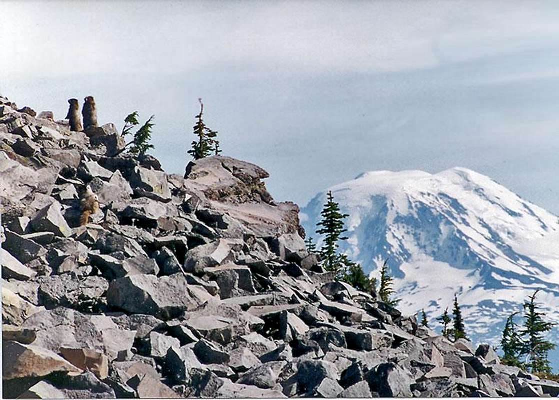 Goat Rocks ( WA ) : Photos, Diagrams & Topos : SummitPost