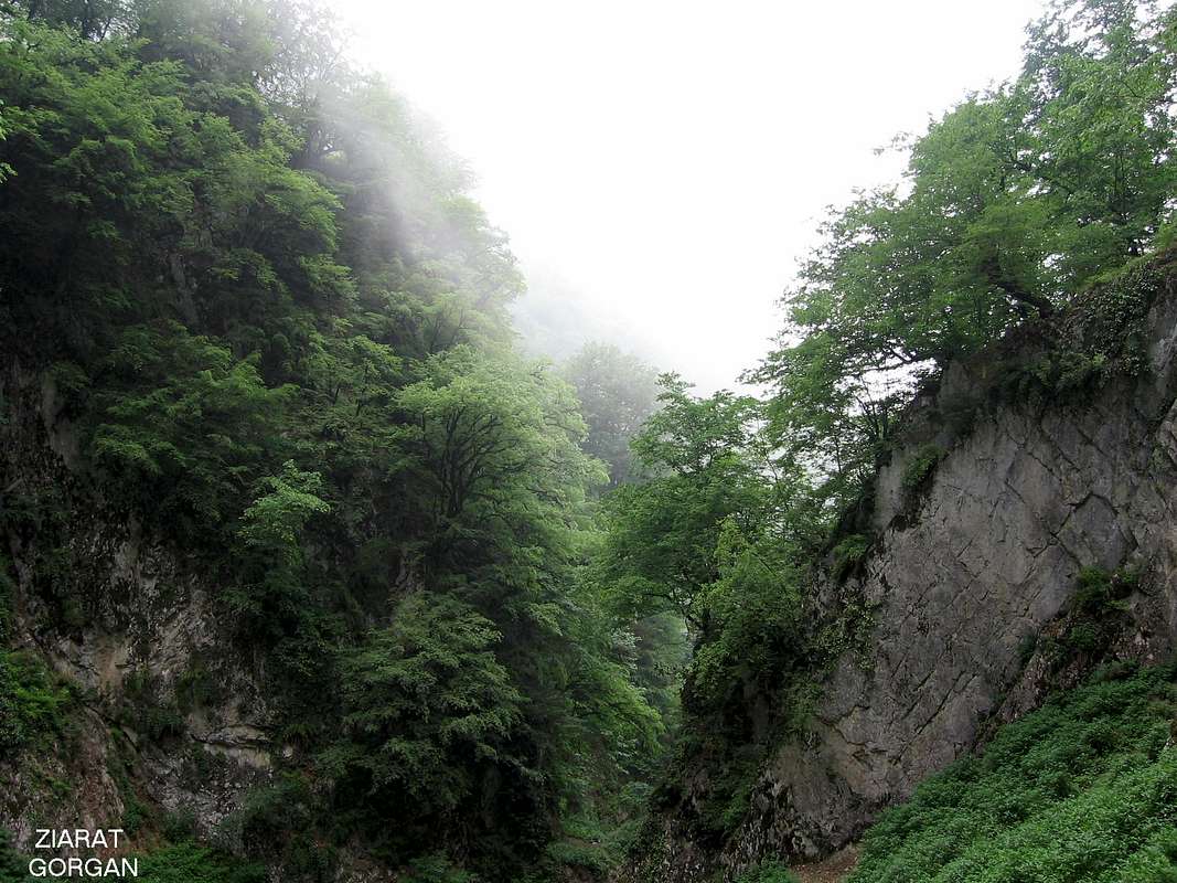 jangal : Photos, Diagrams & Topos : SummitPost