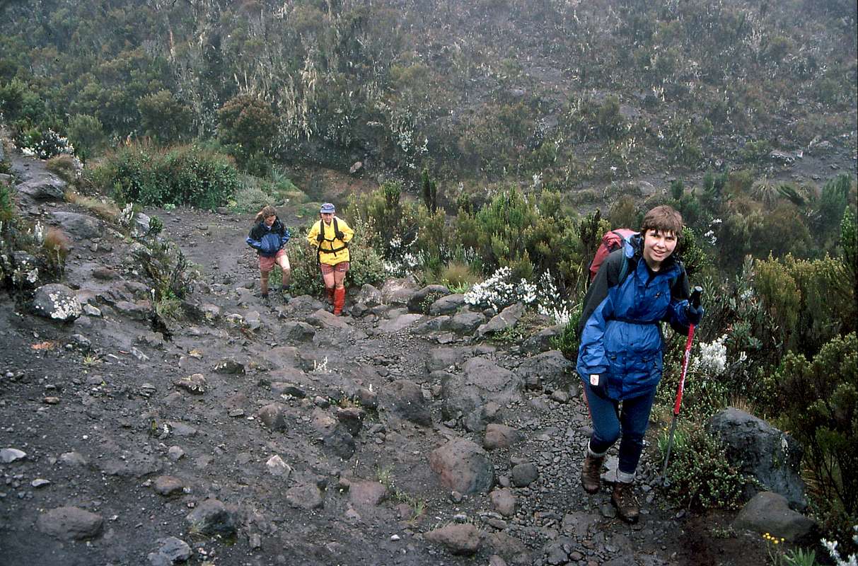 The Giant Heather Forest : Photos, Diagrams & Topos : SummitPost