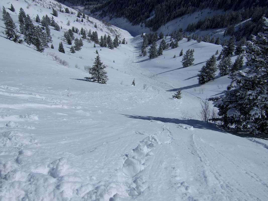Wet slide avalanche : Photos, Diagrams & Topos : SummitPost