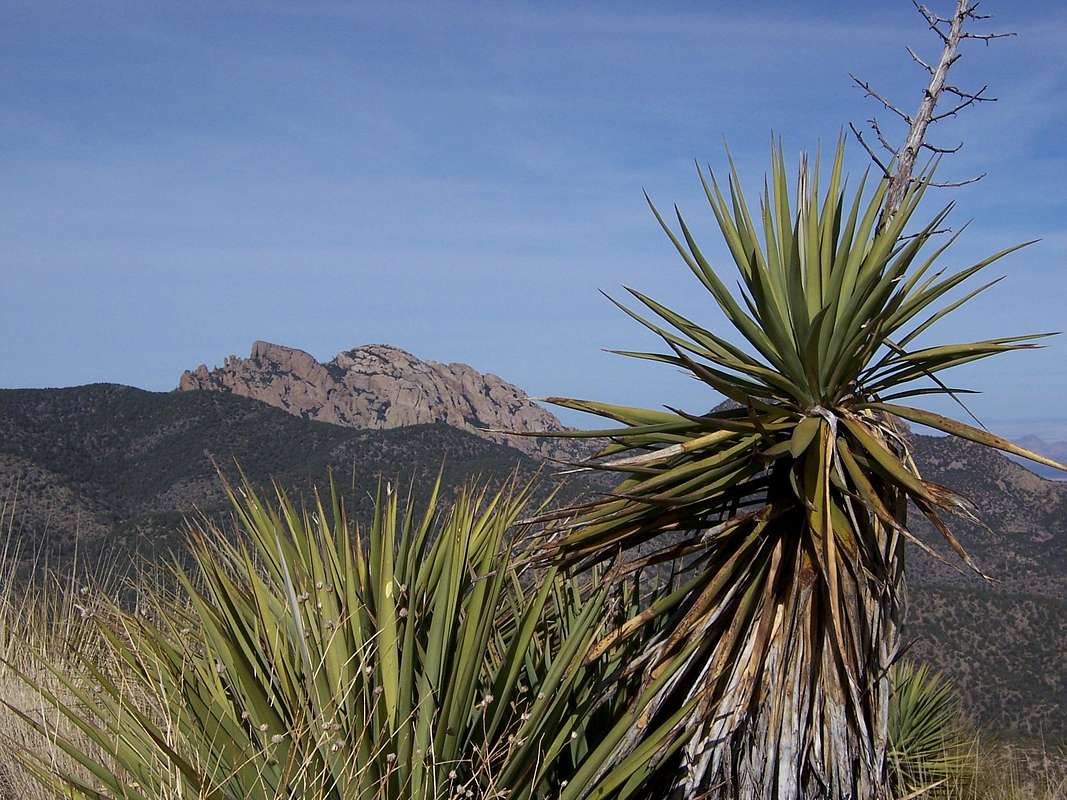 Cochise Head from Sugarloaf Mountain Summit : Photos, Diagrams & Topos ...