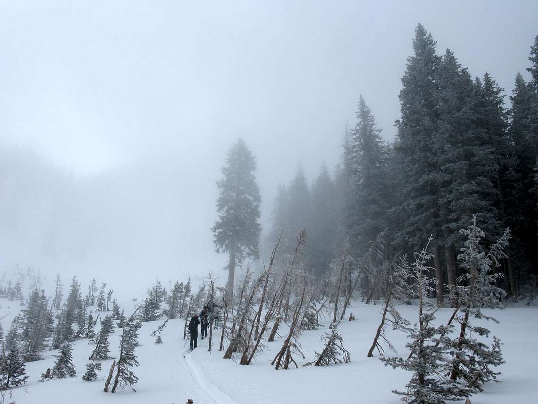 Avalanche Path : Photos, Diagrams & Topos : SummitPost