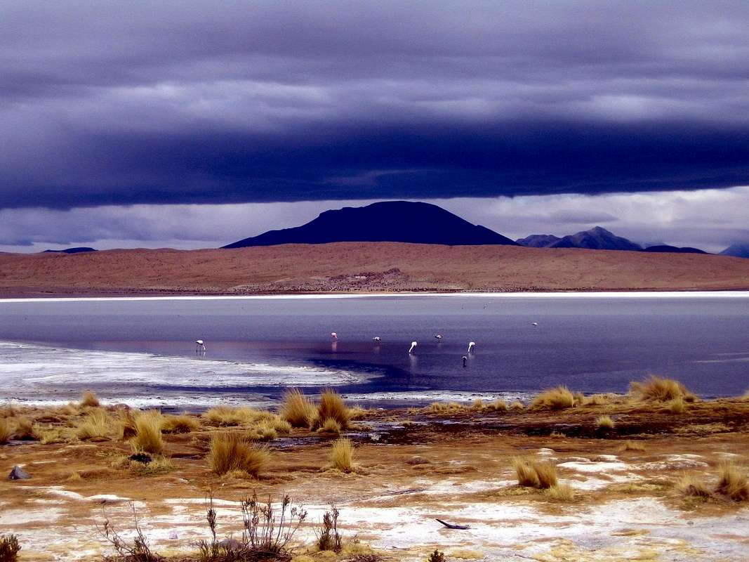 Laguna Colorada : Photos, Diagrams & Topos : SummitPost