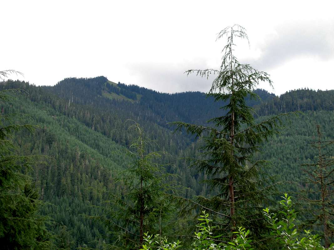 Evergreen Mountain : Photos, Diagrams & Topos : SummitPost