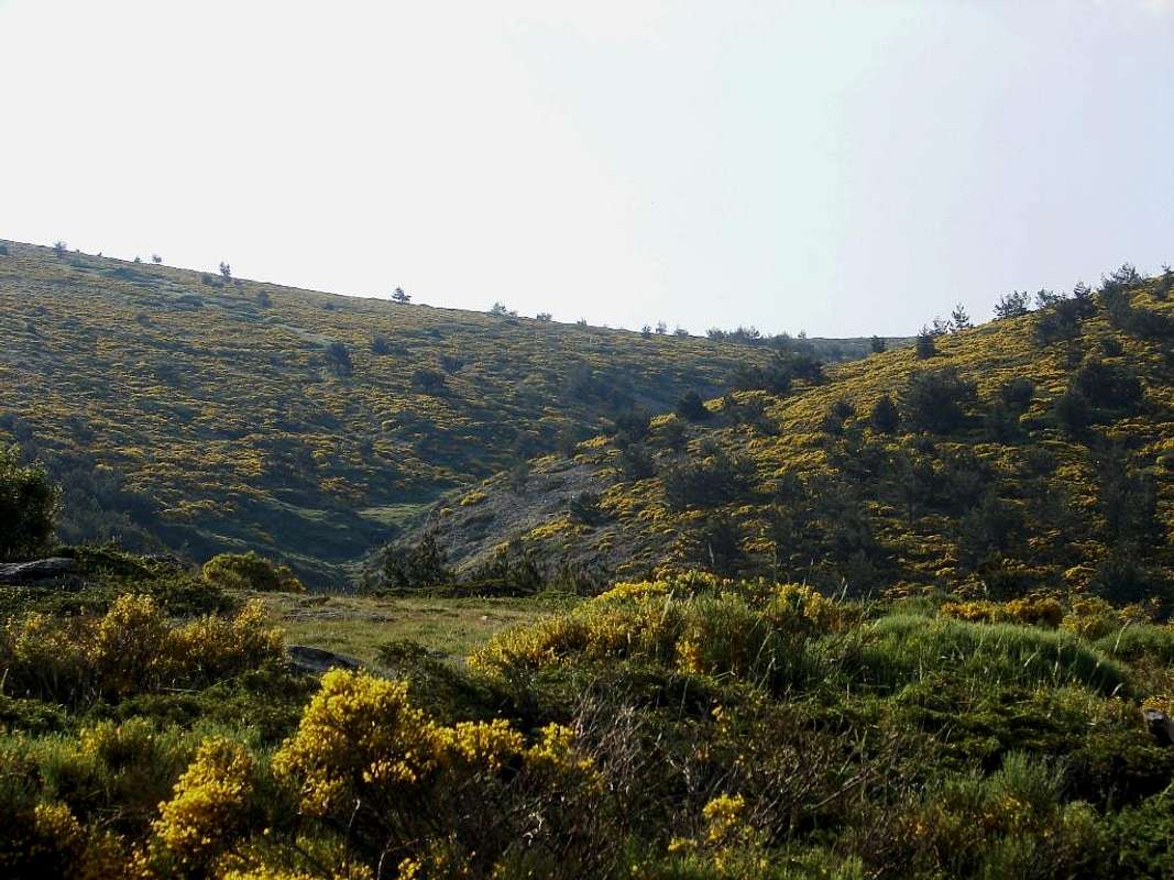 Puerto de los neveros: western ravine. : Photos, Diagrams & Topos ...