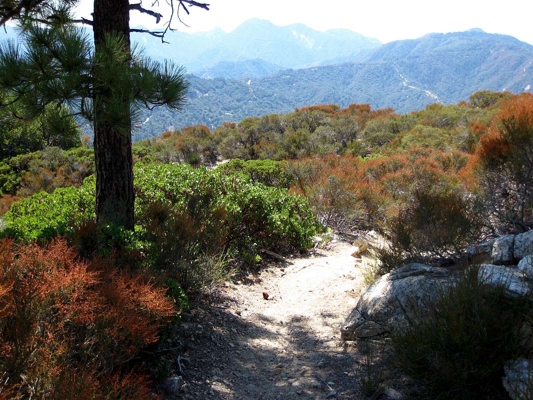 Silver Moccasin Trail, San Gabriel Mtns. : Photos, Diagrams & Topos ...