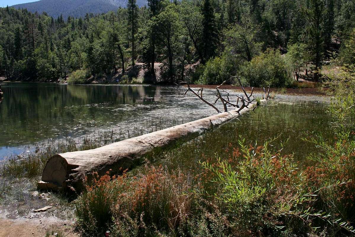 Jenks Lake : Photos, Diagrams & Topos : SummitPost