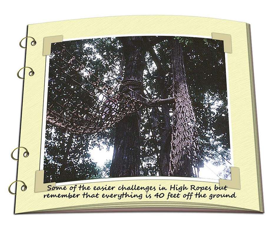 High Ropes Course : Photos, Diagrams & Topos : SummitPost