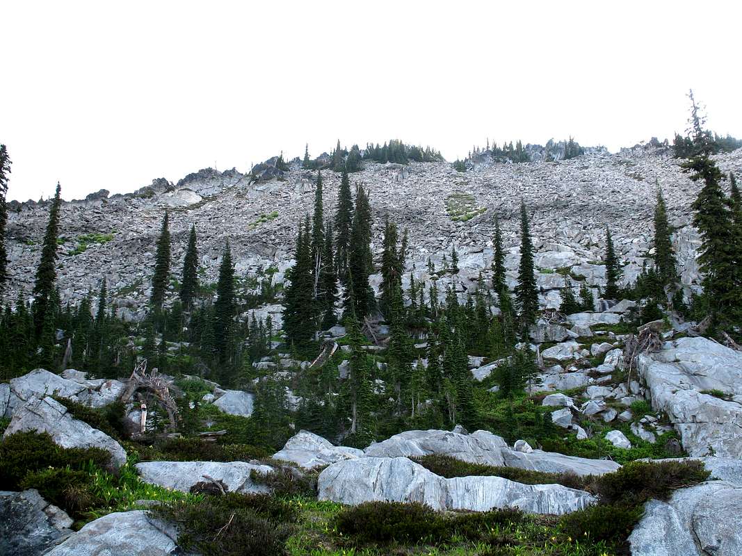 Upper Talus Slope : Photos, Diagrams & Topos : SummitPost