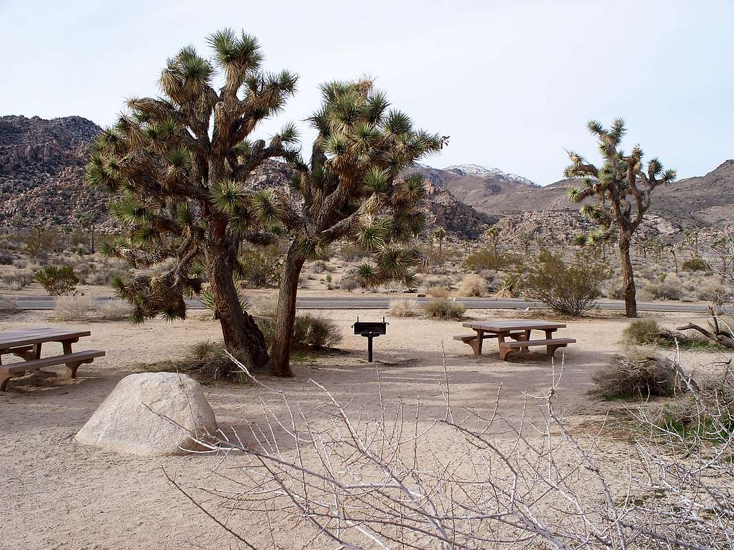 Quail Springs picnic area : Photos, Diagrams & Topos : SummitPost