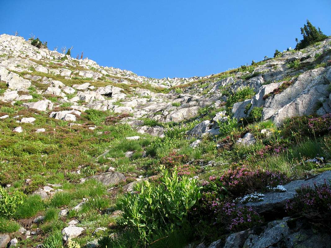 Fenn Mountain Rock Gardens : Photos, Diagrams & Topos : SummitPost