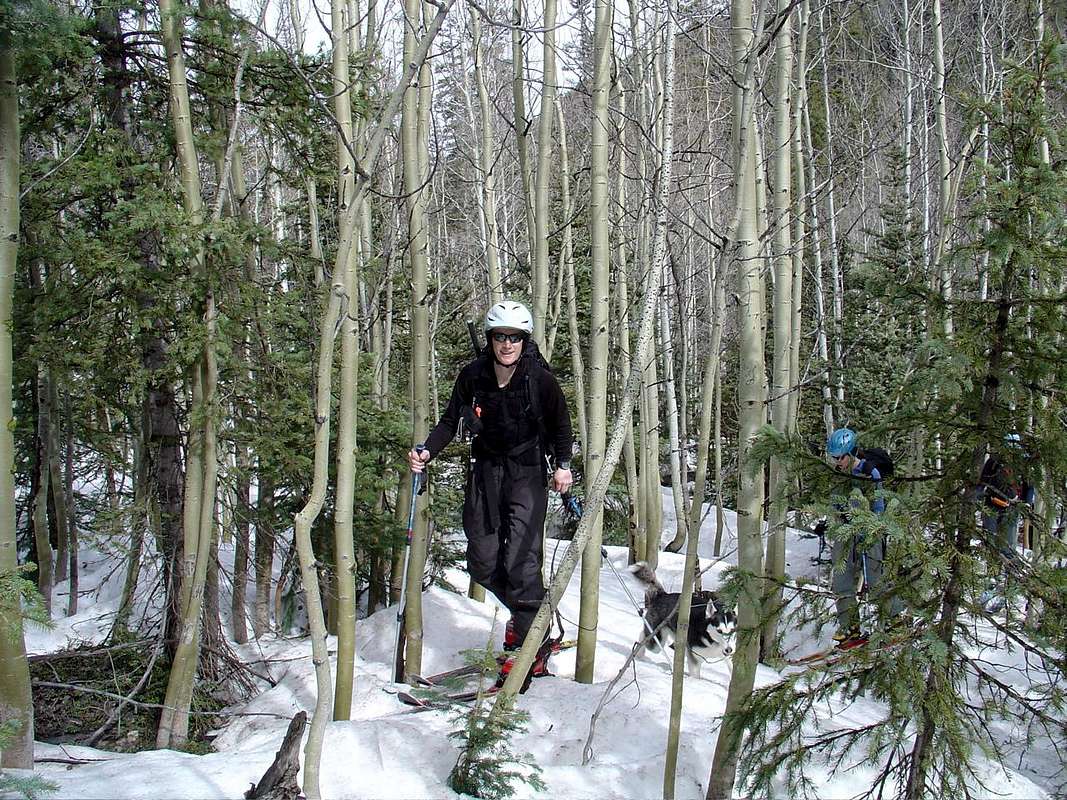 Bushwhacking : Photos, Diagrams & Topos : SummitPost