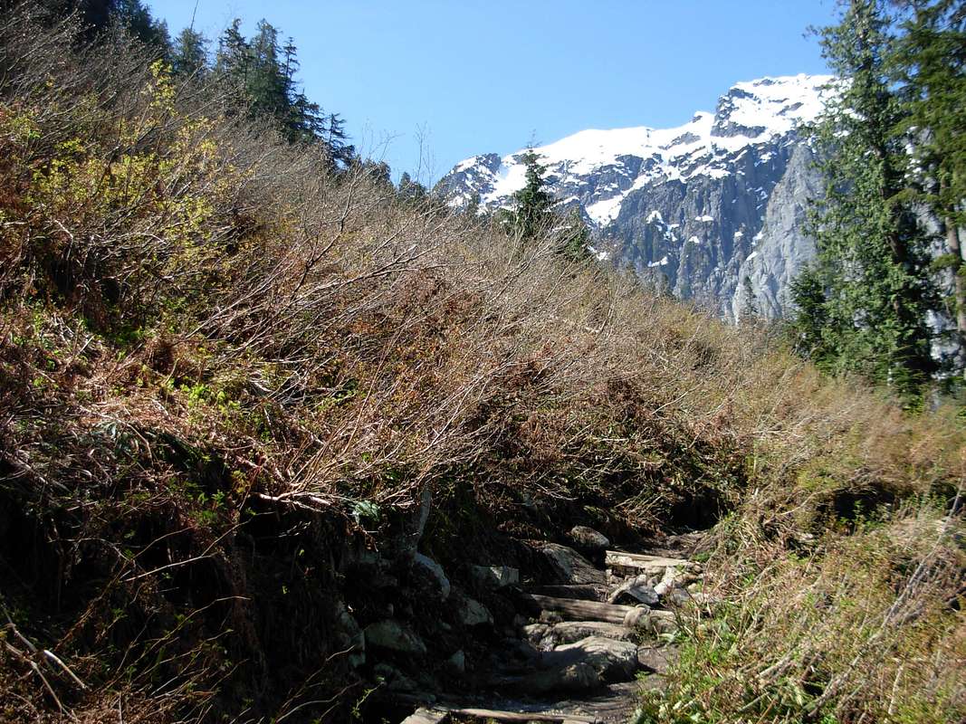 Lake Serene Trail : Photos, Diagrams & Topos : SummitPost
