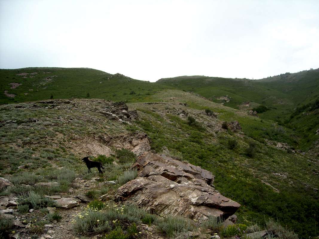 Rocky ridge : Photos, Diagrams & Topos : SummitPost