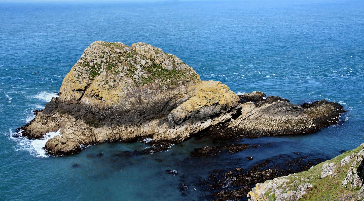 Skomer Island : Photos, Diagrams & Topos : SummitPost