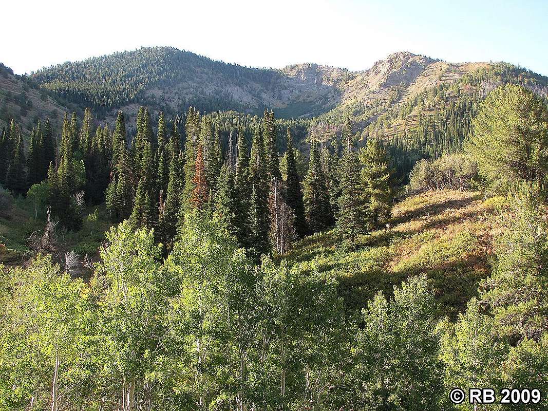 Bull Run Mountains : Photos, Diagrams & Topos : SummitPost