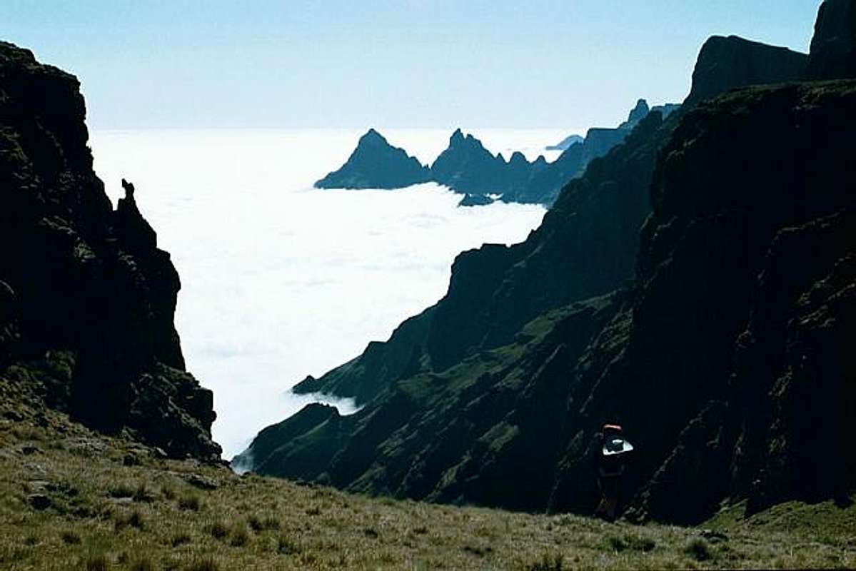 Reaching the summit of Fangs... : Photos, Diagrams & Topos : SummitPost