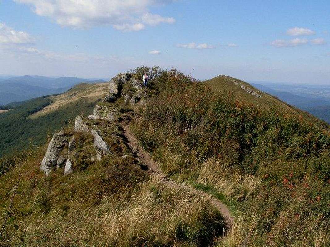 On the ridge of Mount Bukowe Berdo : Photos, Diagrams & Topos : SummitPost