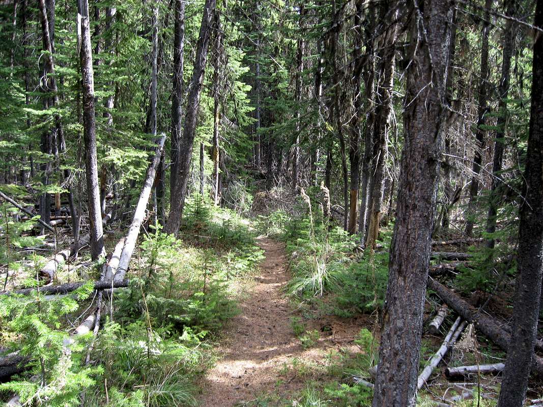 Johnson Peak : Climbing, Hiking & Mountaineering : SummitPost