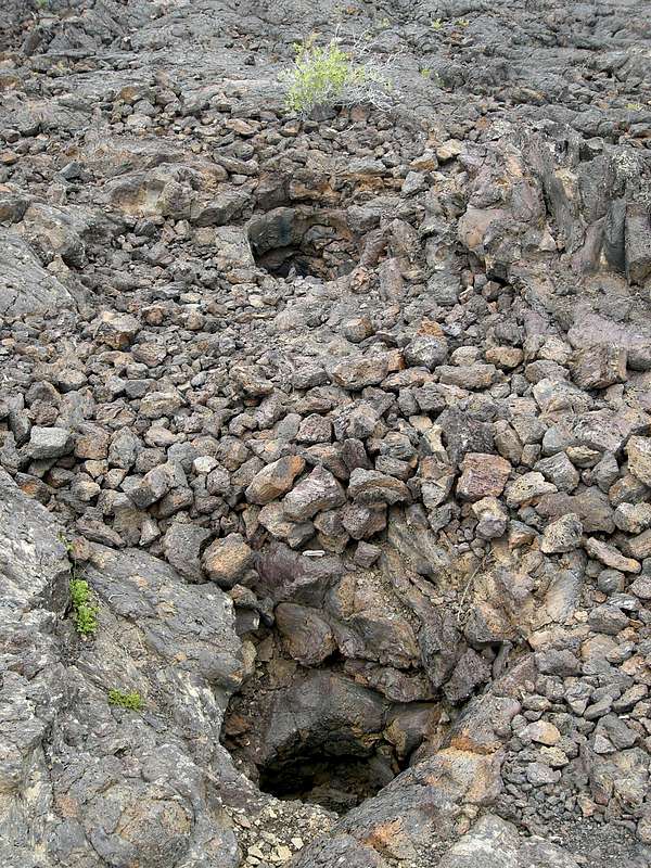 Tree Molds : Photos, Diagrams & Topos : SummitPost