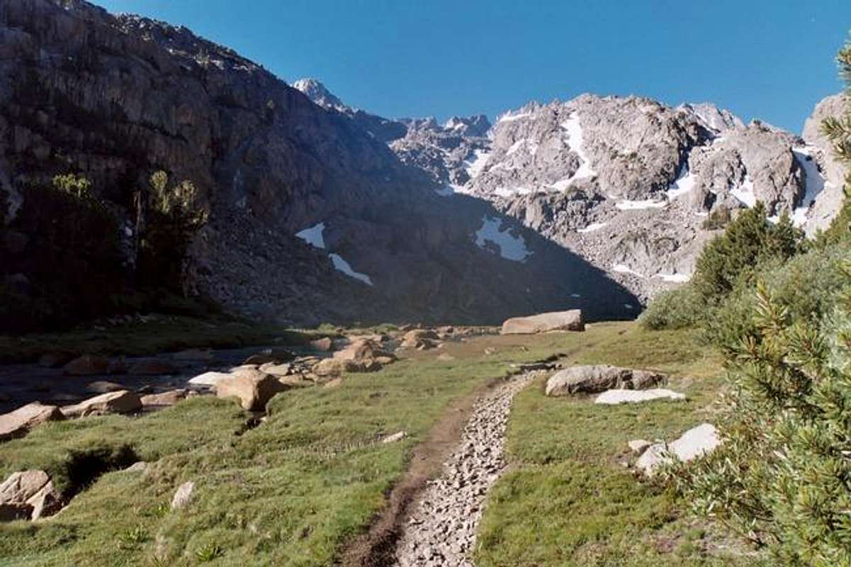 Sam Mack Meadow. Polemonium... : Photos, Diagrams & Topos : SummitPost