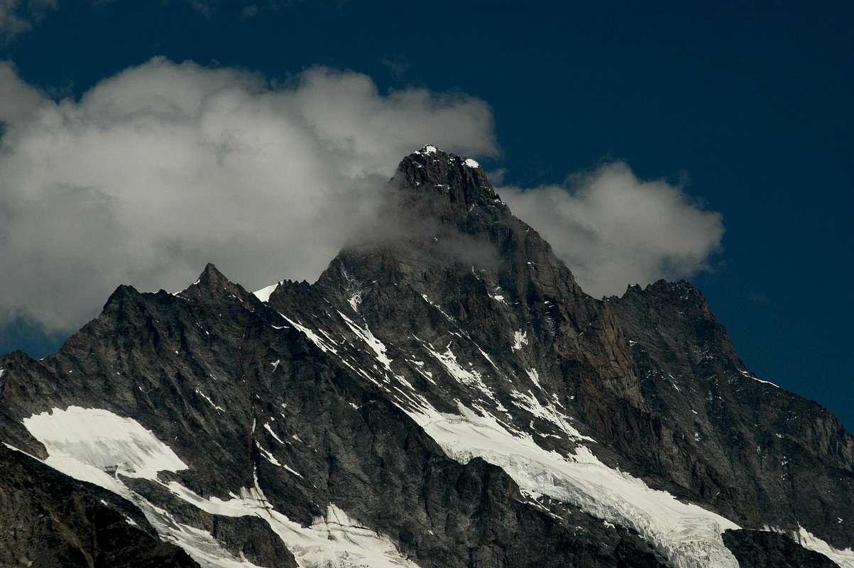 Schreckhorn : Photos, Diagrams & Topos : SummitPost