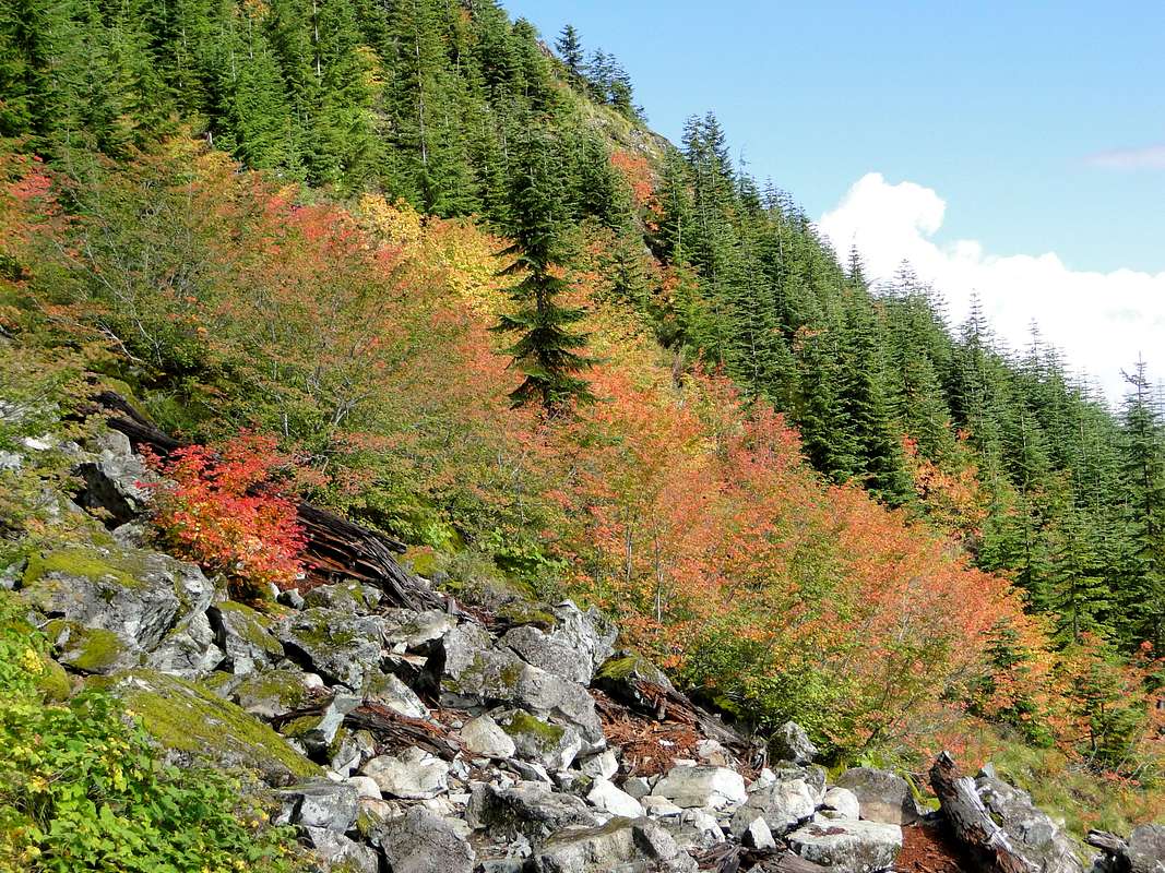 Fall colors on Mt. Washington (I-90) : Photos, Diagrams & Topos ...