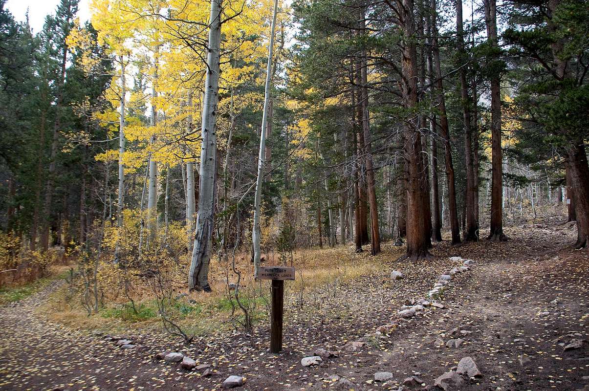 Trail Junction : Photos, Diagrams & Topos : SummitPost