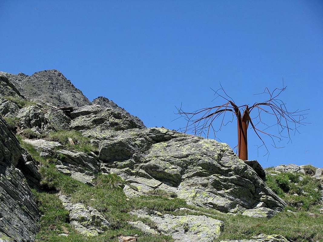 Iron tree : Photos, Diagrams & Topos : SummitPost