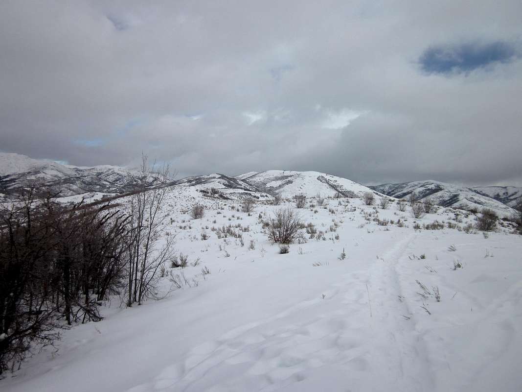 Little Mountain : Photos, Diagrams & Topos : SummitPost