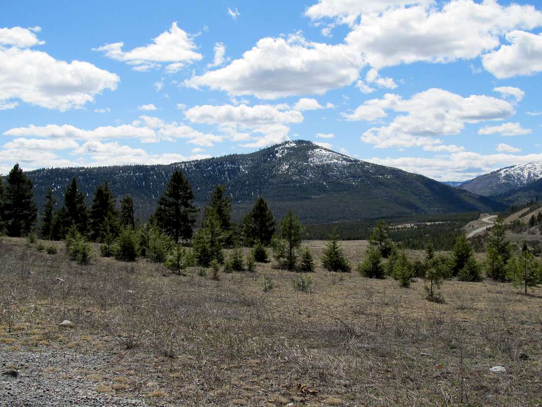 Wapiti Mountain : Climbing, Hiking & Mountaineering : SummitPost